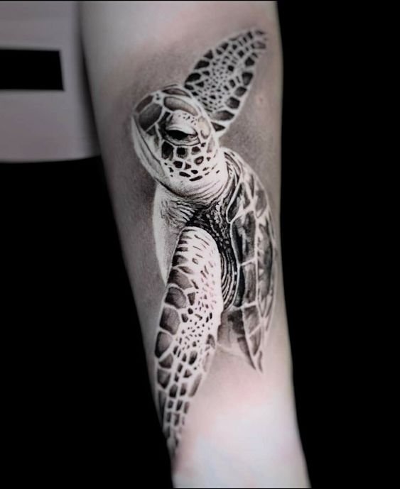 Turtle tattoo: styles and meaning | 37+ Designs for men and women ...