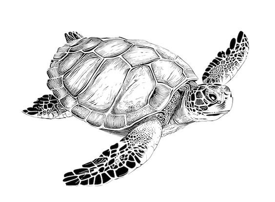 Turtle tattoo: styles and meaning | 37+ Designs for men and women ...