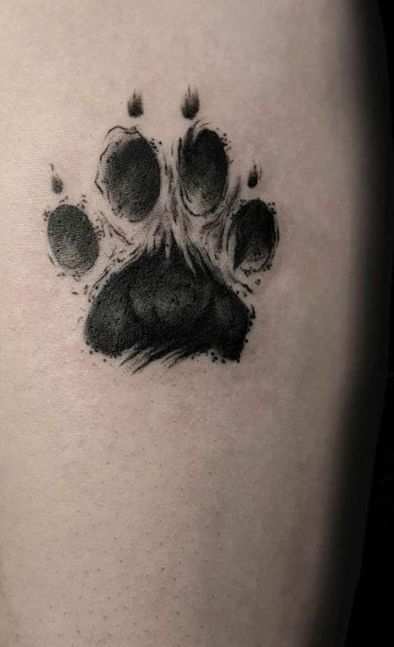 Paw Tattoos Meanings And Designs Vean Tattoo