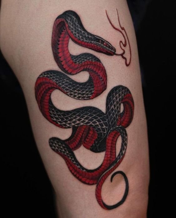 23+ Designs of Snake tattoo for men and women - VeAn Tattoo
